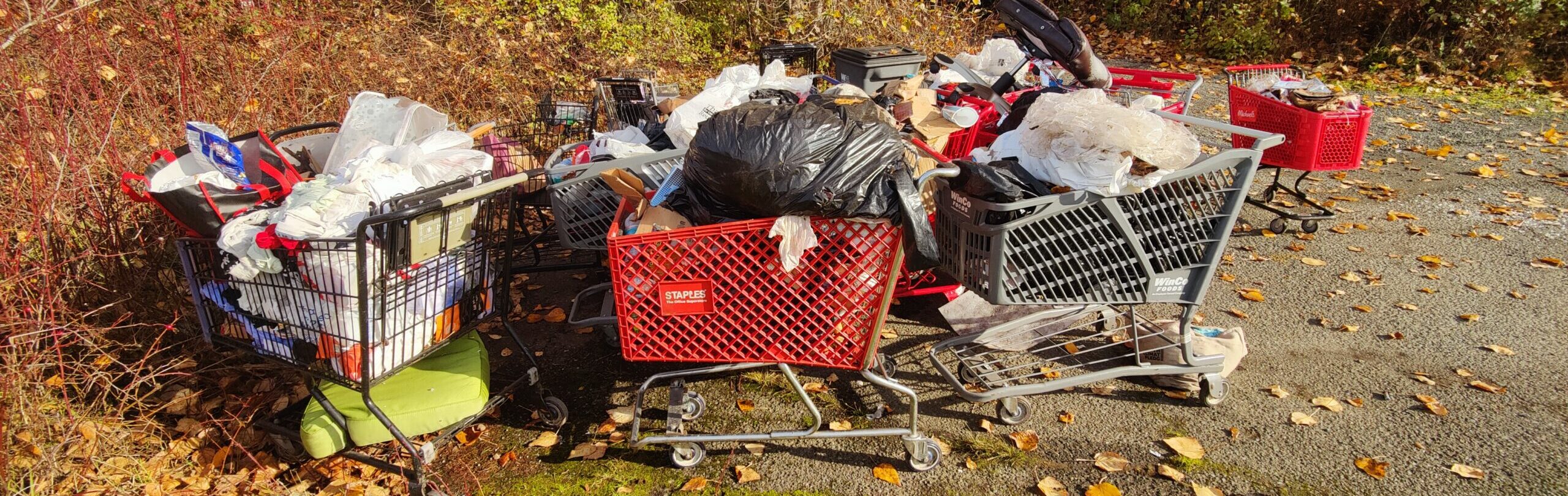 SPONSOR-A-CAN – We aim to provide regular, reliable garbage collection ...